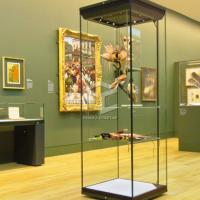 China T5 LED Wall Mounted Museum Display Showcase 1.2cm Thick Tempered Glass for sale