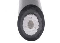 China 1*16mm2 1*25mm2 Overhead Insulated Cable XLPE Polyethylene for sale