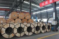 China ACSR Aluminium Conductor Steel Reinforced For Overhead Lines for sale