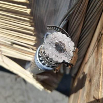China AACSR Aluminum Alloy Conductor Aluminum Clad Steel Reinforced for Long Span Applications for sale