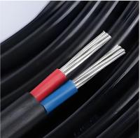 China Two-core Copper XLPE Insulated Low Voltage Cable IP67 Rated 0.6/1kV for Overhead and Buried Underground Use for sale