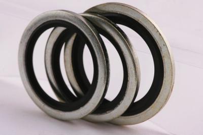 China Composite Gasket 1/2