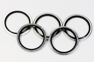 China Stainless Steel Nitrile Rubber Bonded Seals M4-M60 for Threaded Pipe Joints, 2mm Thickness, ≤40 MPa Pressure for sale