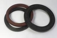 China TC Double Lip Skeleton Oil Seal FKM High Temperature Resistance -26°C to 230°C with Stainless Steel Spring for sale