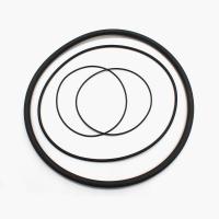 China FKM O Rings 70 to 90 Shore Hardness Seal for Fuel Injection Systems for sale
