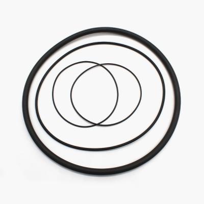 China FKM O Rings 70 to 90 Shore Hardness Seal for Fuel Injection Systems for sale