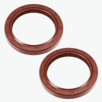 China FPM FKM Brown Oil Seals with Double Lip Design -26°C to 230°C Temperature Range Oxidation Resistance for sale