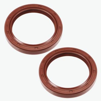 China FPM FKM Brown Oil Seals with Double Lip Design -26°C to 230°C Temperature Range Oxidation Resistance for sale