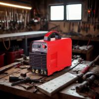 China WS-200 6.3KVA 220V IGBT Inverter TIG/MMA Mini Welder Suitable for Various Applications for sale