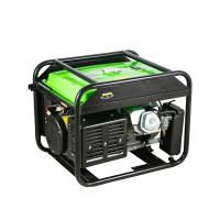 China Portable Gasoline Gen-Welder GasPower WeldPro 250 with 15% Duty Cycle and Competitive for sale