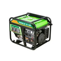 China Portable Gasoline Gen-Welder GasPower WeldPro 250 with 15% Duty Cycle and Competitive for sale