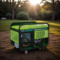 China End Gasoline Welding Generator ProCraft 300 WeldGen for Enhanced Control and Safety for sale