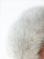 China Women Plush Scarf Made From 100 Percent Polyester Fake Fox Fur Thick Winter Neckwarmer Muffler Magnetic Closure for sale