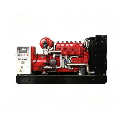 China 250kW 312.5kVA Cummins Natural Gas Generator Set Open Type For Industrial Power Supply for sale