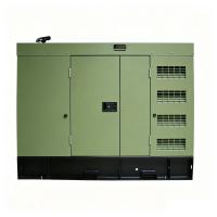 China 40kW 50kVA Silent Canopy Shangchai Diesel Genset With Efficient Brushless Alternator for sale