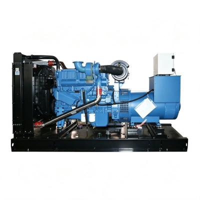China 250kW Yuchai Engine Open Frame Diesel Generator Set for Industrial Power Supply for sale
