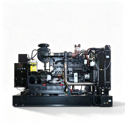 China Customizable 275kW 350kva Emergency Diesel Generator With Cummins Engine for sale