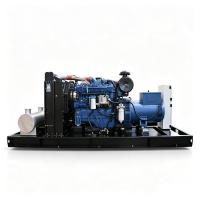 China 160kW Diesel Generator Set With Auto Start And ATS Auto Transfer Switch For Emergency Power Supply for sale