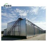 China Customized Industrial Wood Drying Oven for Precise Drying and Dehumidifying for sale