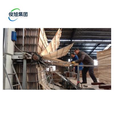 China 8000 KG Capacity Wood Drying Machine Industrial Veneer Dryer with Hydraulic Hot Press for sale