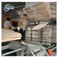 China 8000 KG Vertical Wood Panel Belt Conveyor Drying Equipment for Olive Wood Slices for sale