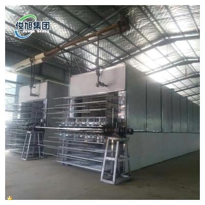 China Industrial Wood Veneer Dryer with Multi Layer Drying Chambers for Various Wood Types and 500 sheets/hour Capacity for sale