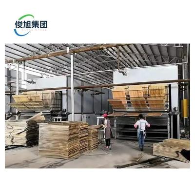 China Energy Saving Continuous Operation Wood Veneer Dryer with Large Capacity for Industrial Wood Processing for sale