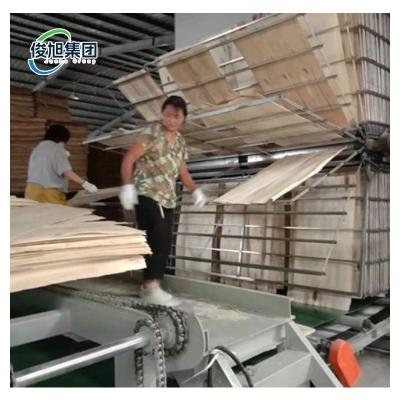 China High Performance Wood Veneer Manufacturing Process Dryer For Superior Drying Efficiency for sale