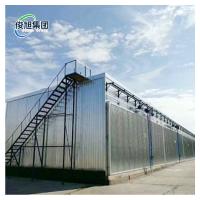 China Canadian Hard Maple Kiln Dried Wood Preferred Choice for Dry Wood Sawdos in Pakistan for sale