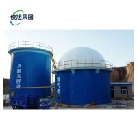 China 99% Purification Efficiency 5000 kg Biogas Desulfurization Tower for Purification for sale