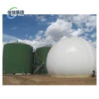 China Biogas Engineering Equipment Procurement And Installation Services By Heavy Industry for sale