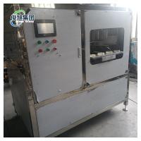 China Customizable Capacity Automatic Peeling Machine Top Choice for Fruit Processing Plant for sale