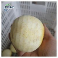 China Complete Models Of Fruit Peeling Machines For Optimal Peeling Results for sale