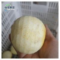 China Economic Multifunctional Fruit Peeling and Coring Machine for Fruit Processing Plant for sale