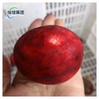 China Industrial Four Station Onion Peeling Machine for High Capacity Production by Junxu for sale