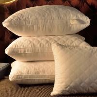 China White Embroidery Soft Touch Microfibre Pillow Gusset Microfiber Neck Pillow For Travel for sale