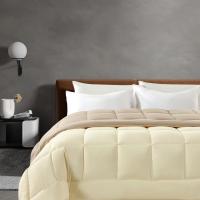 China Beige Bicolour Microfiber Comforter King Size Soft Prewashable White Microfiber Comforter for sale