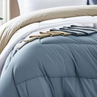 China Machine Washable Home Bedding Comforter Sets in White Beige Grey Blue and Customized Color Options for Comfortable Stylish Bedrooms for sale
