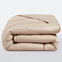 China Winter Soft microfiber Quilted Comforter Solid Pattern Breathable Warmth Level Bedding Suitable for Hospitality Settings for sale
