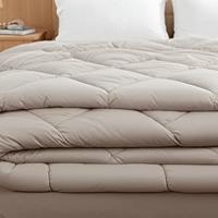 China King Medium Softness Fleece Comforter 350gsm Filling Comfortable Warm Lightweight Bedding Ideal for Bedroom for sale