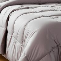China Machine Washable Plain Cationic Comforter Quilted Design Soft Durable Comfortable Bedding Essential for Hospitality and Home for sale