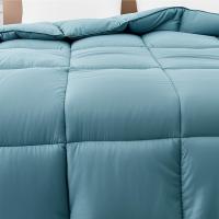 China King Cationic Comforter Machine Washable Twin Full Queen Sizes Soft Durable Hypoallergenic Breathable for sale