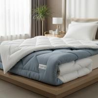 China Hypoallergenic Fiber Quilts Bicolor Comforter Soft Durable Breathable Bedding Suitable For Hotels Commercial Hospitality for sale