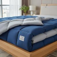 China Blue Solid Microfiber Comforter Bicolor Comforter Cozy Warm Microfiber Bedding Designed for Hotels Hospitality and Home for sale