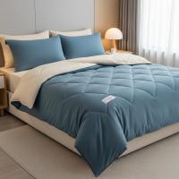 China Bicolor Comforter Home Bedding Comforter Sets Hypoallergenic Yes Durable Soft Suitable for Hotels Motels and Guest Rooms for sale