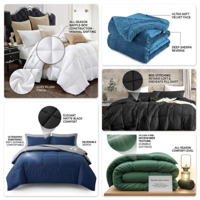 China Coral Fleece Winter Comforter King Size Thick Warm Fluffy Soft Plush Bed Quilt Blanket for sale