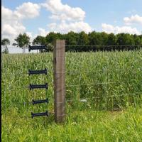 China Cattle Electric Fence Spring Gate Kit Plastic Handle And Galvanized Hook for sale