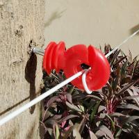 China Screw In Electric Fence Insulators Ring Post Wood Pasture Garden Accessories for sale