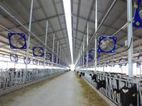 China Terrui Poultry House Livestock Circulation Fans 1.2m With APP Control for sale
