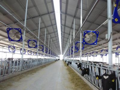 China Terrui Poultry House Livestock Circulation Fans 1.2m With APP Control for sale
